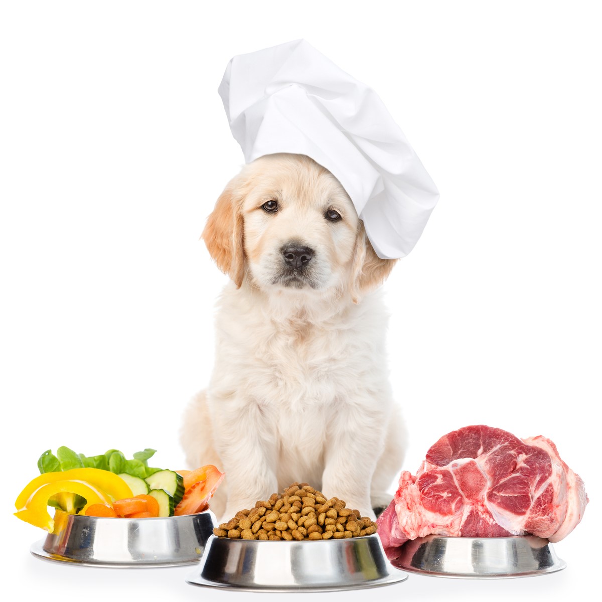 Pet Food | Holmach